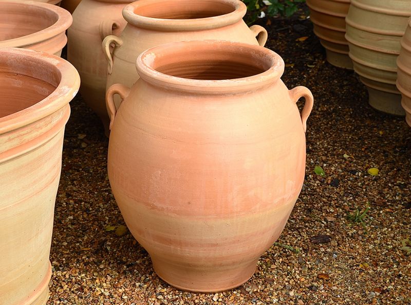 Garden Art Plus Ltd : Amphora Pot