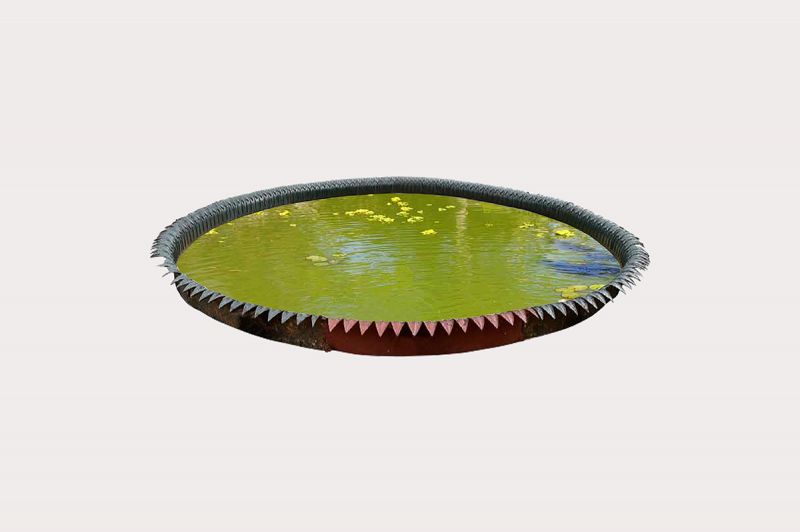 Garden Art Plus Ltd : Lily of the Valley Leaf Surround